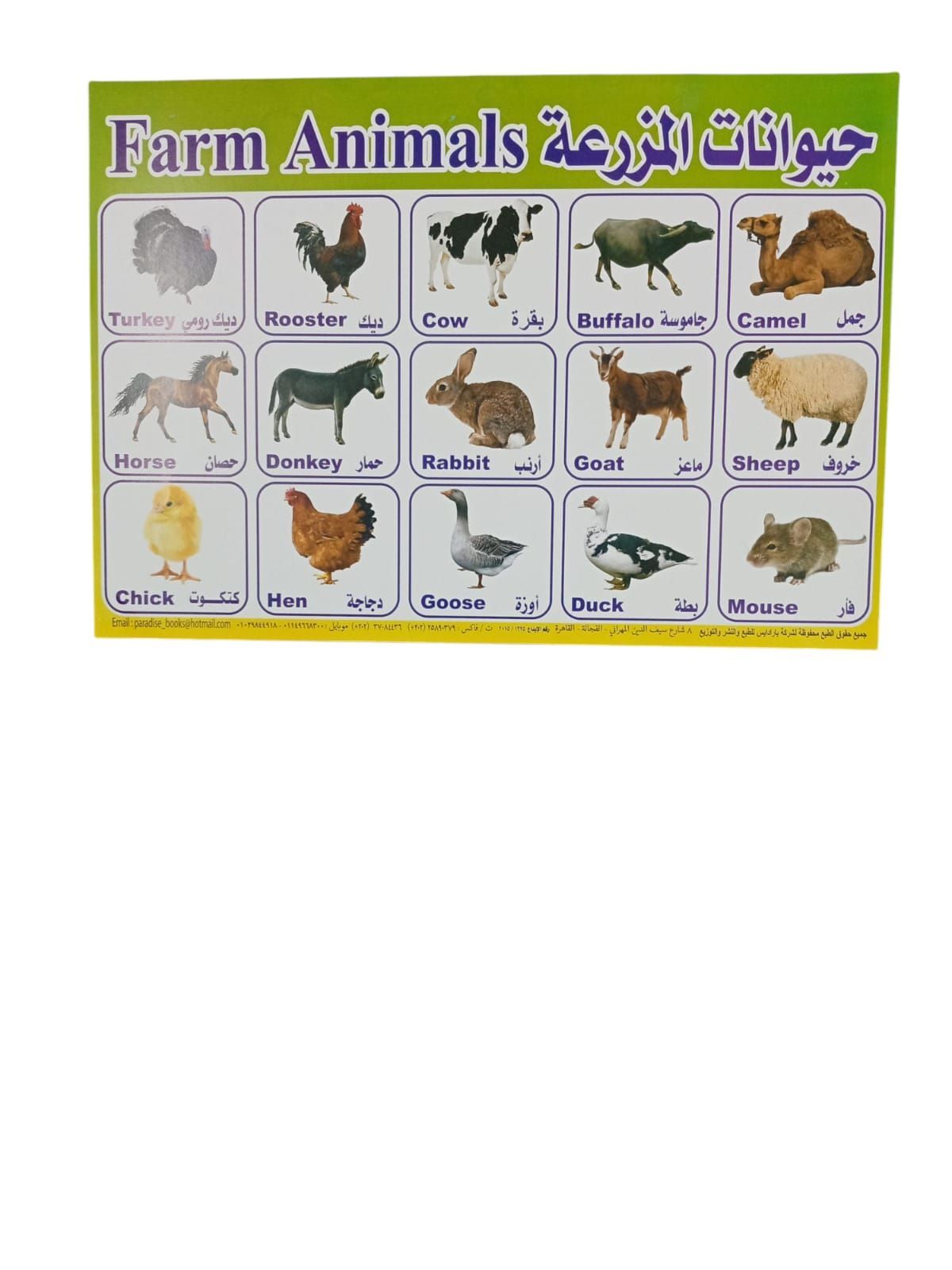 Póster Educativo Paradise Los Animales de Granja 50 × 70 cm | Bernasos ...